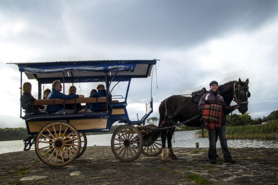Killarney: 1-Hour Jaunting Car Horse and Carriage Tour