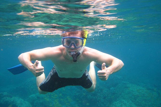 Kona's Deluxe Snorkel - Snorkel Captain Cook and Place of Refuge - The Value Proposition