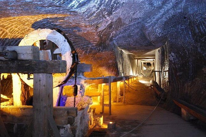 Krakow: Auschwitz-Birkenau & Salt Mine -private/shared transport - Pricing & Value