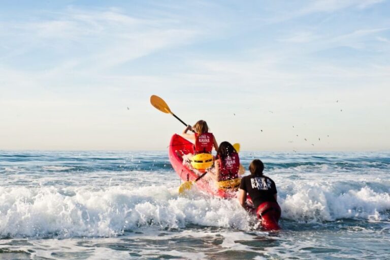 La Jolla: 2-Hour Kayak Tour of the 7 Caves - Marine Wildlife and Scenery: Why It Matters