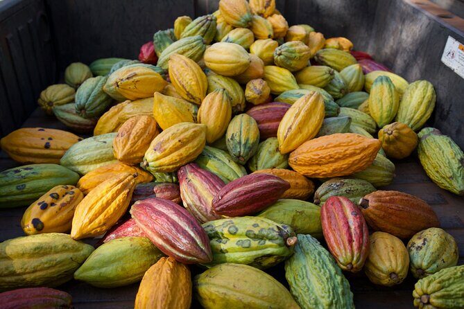 Lahaina: Maui Ku'ia Estate Guided Cacao Farm Tour and Tasting - Frequently Asked Questions