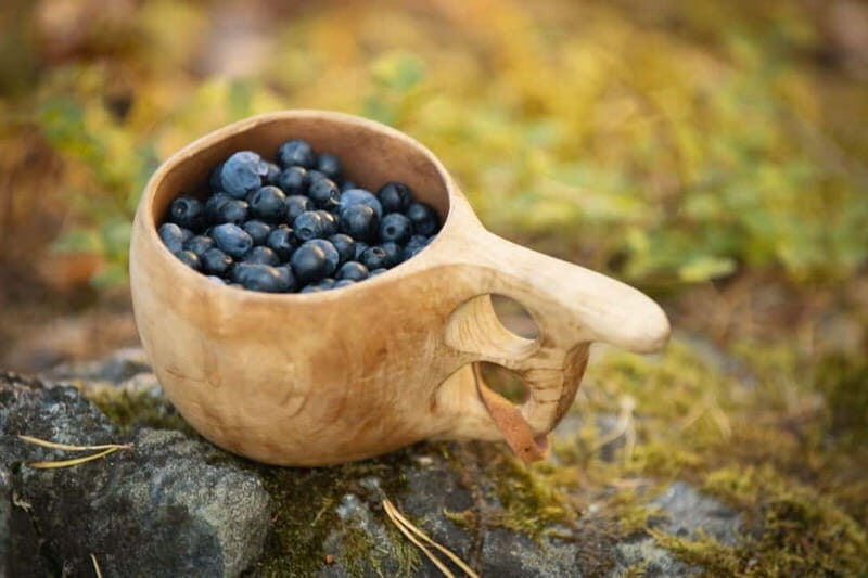Lahti: Wild Food Foraging Tour with Tastings