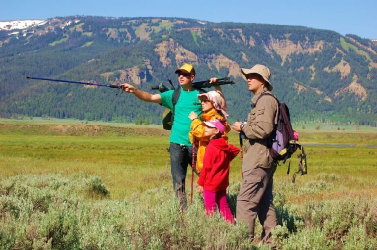 Lamar Valley: Safari Hiking Tour with Lunch - Why the Guides Make the Difference