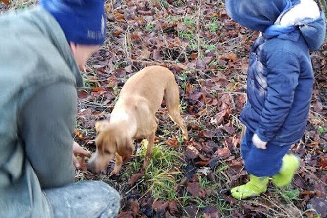 Langhe Truffle hunting Experience - Final Thoughts