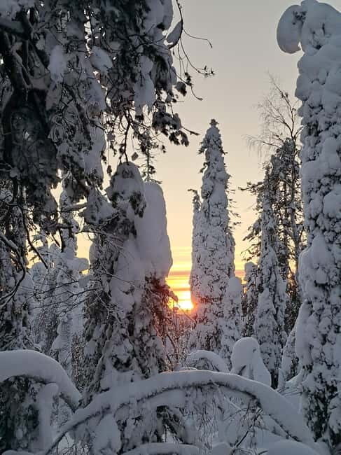 Lapland: A Day at a Traditional Log Cabin & Snowshoe Trek - A Deep Dive into the Experience