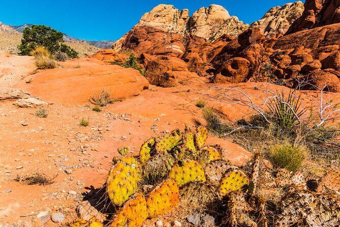 Las Vegas Day Trips: 3-Day Self-Guided Audio Tour - Exploring the Itinerary: What You Actually Get