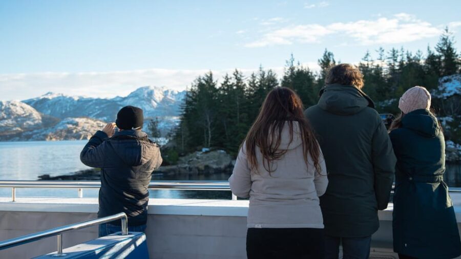 Lysefjorden cruise & Preikestolen guided hike - winter