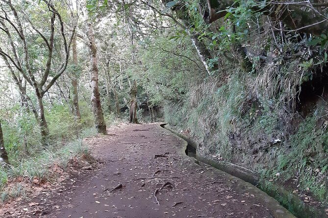 Madeira: Private 1.5-Kilometer Levada dos Balcões Hike PR11