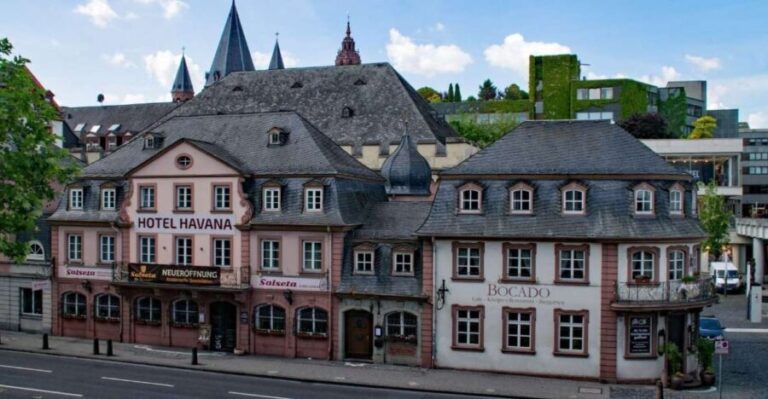 Mainz: Private Walking Tour With Professional Guide - FAQs