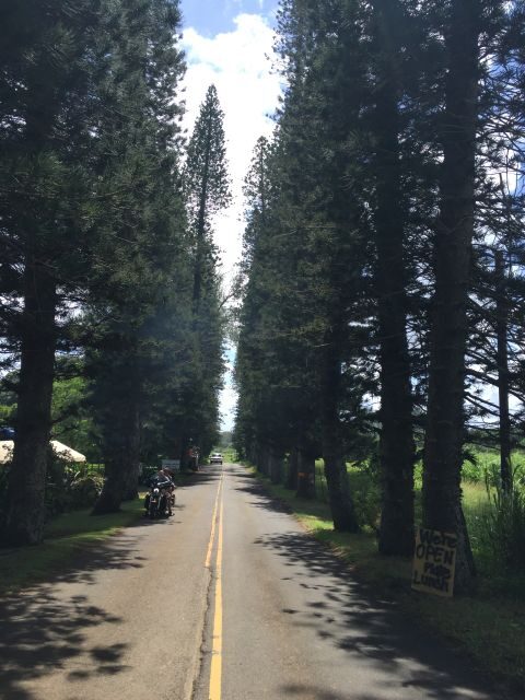 Maui : Private : Road to Hana Day Trip : Just For Your Group - FAQ