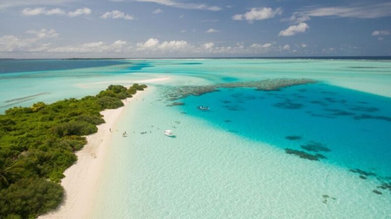 Miami: Bahamas Full-Day Trip by Ferry - The Sum Up