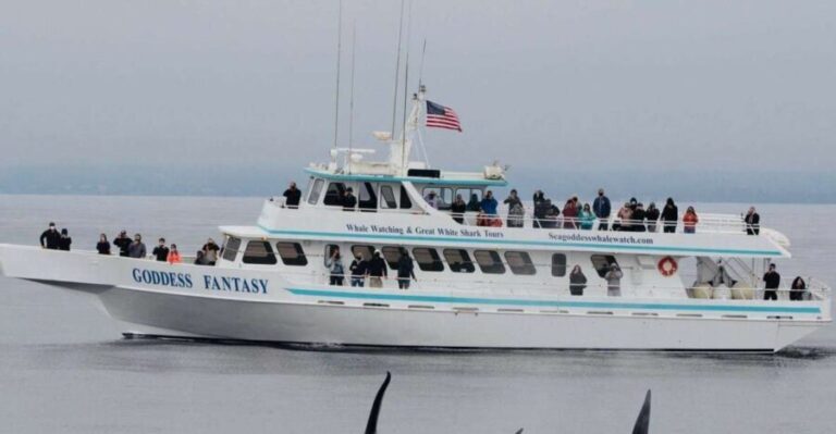 Monterey: Whale Watching Cruise - An In-Depth Look at the Experience