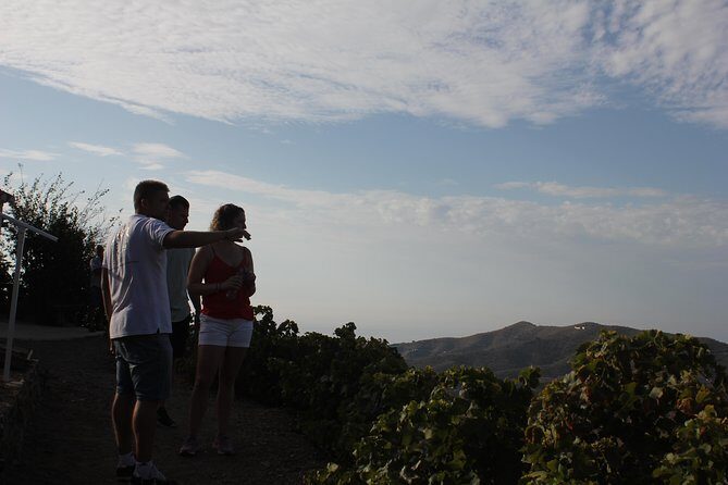 Muscat Raisin Route - Small group with lunch included
