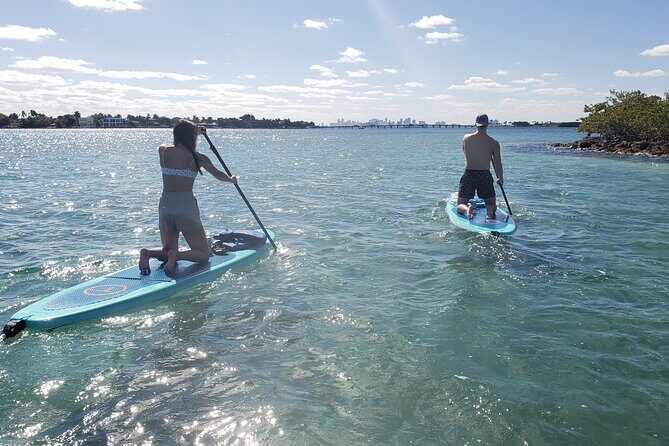 Nature & Island Exploration on SUP/Kayak - The Itinerary: What You Can Expect
