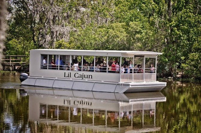 New Orleans Swamp and Bayou Sightseeing Tour with Transportation - The Experience Weet to Know