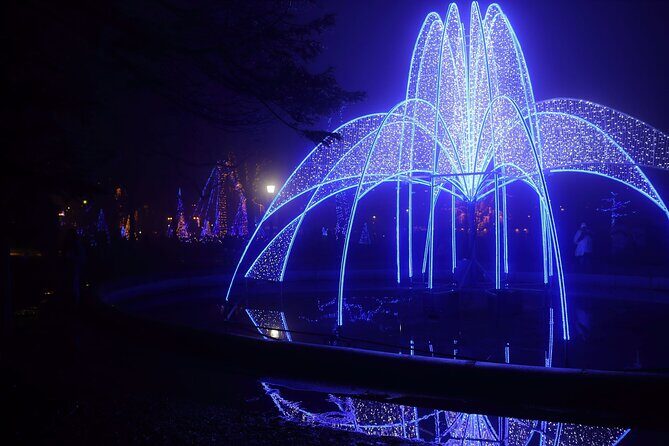 Niagara Falls USA/Canada Winter Wonderland Adventure tour - Why This Tour Offers Great Value
