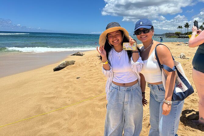 Opaeka'a falls, Spouting Horn, Poipu Beach - The Practical Details: Comfort, Cost, and Booking