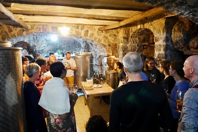 Organic Wine Tasting, Mozzarella, Gnocchi & Tiramisu Workshop