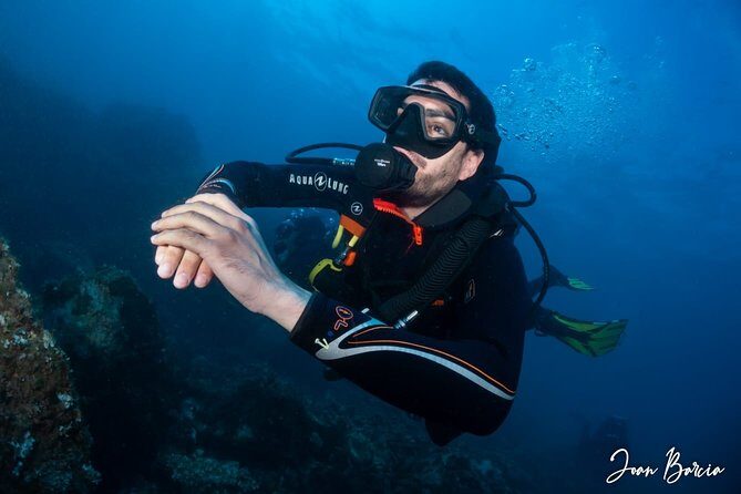 PADI Open Water Diver Course - Why the Price Reflects Good Value