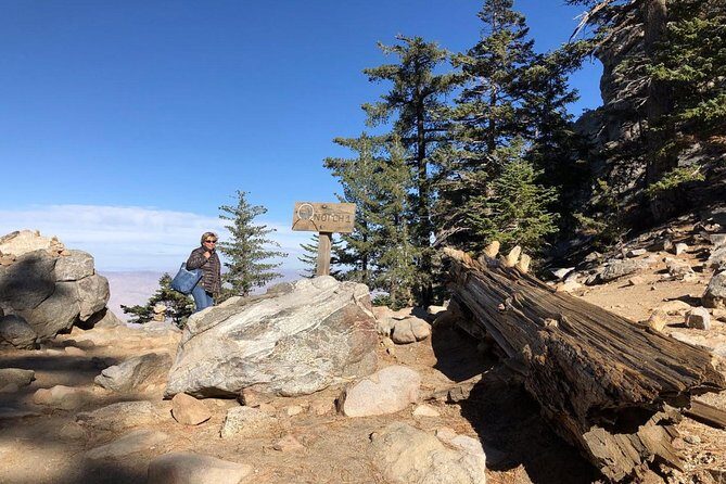 Palm Springs Aerial Tramway Admission Ticket - Authentic Traveler Insights