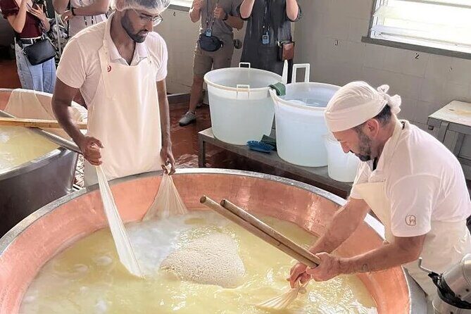 Parmigiano Cheese Factory Visit and Tasting - Exploring the Parmigiano Reggiano Cheese Experience