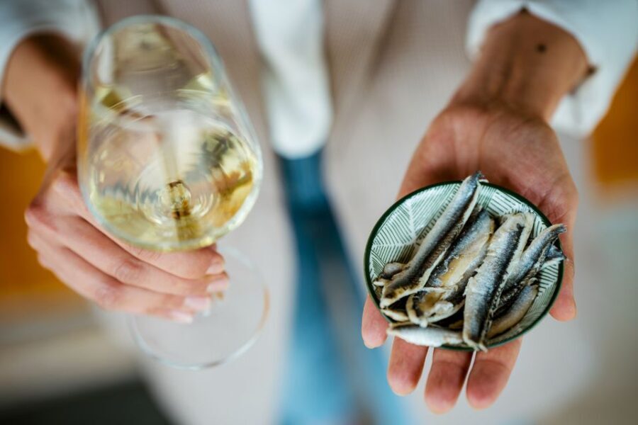Peljeac wine tasting and local winery visit
