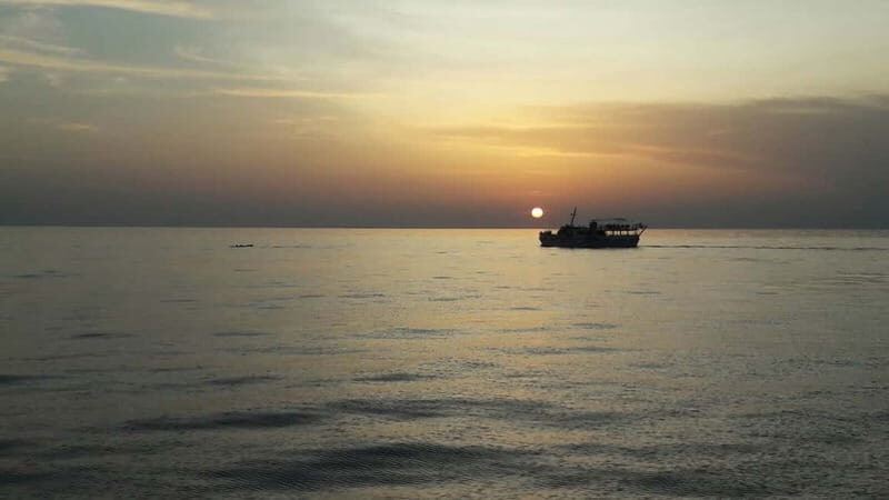 Pore: Sunset Dolphin Safari Cruise with Drinks