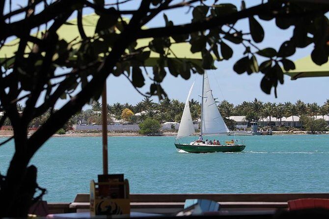 Private 90-Minute Harbor Sailing Charter in Key West - Who Will Love This Tour?