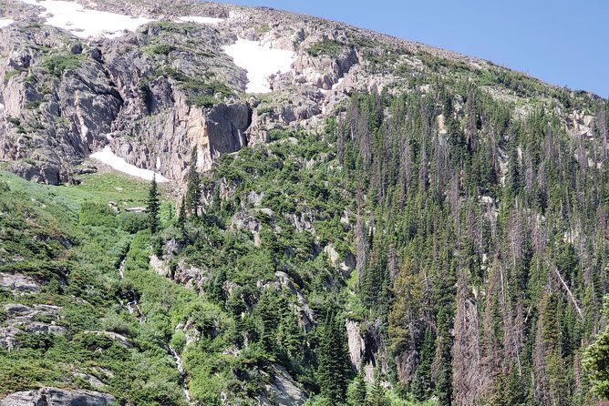Private and Personalized Three Hour Morning Tour of Rocky Mountain National Park - Final Thoughts: Who Is This Tour For?