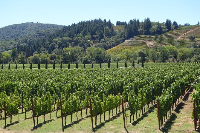 Private, Customized Sonoma Valley Wine Tour - The Experience: What Makes It Stand Out