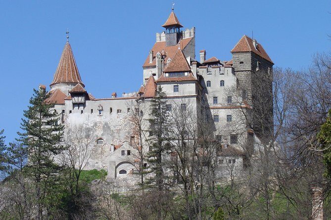 Private Day Tour from Brasov to Rasnov Fortress - The Value in the Details