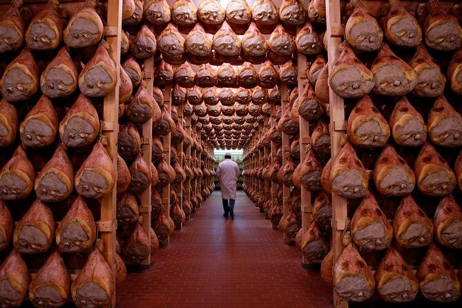Private Emilia Romagna Food Tour Half Day - Transportation and Practical Details