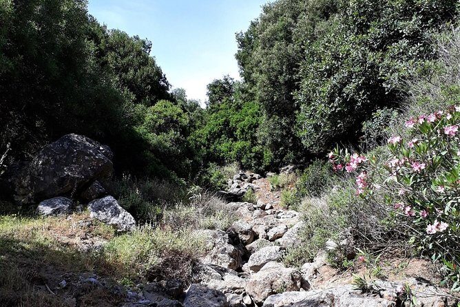 PRIVATE Hiking Walking GORGE nearby Hersonissos CRETE