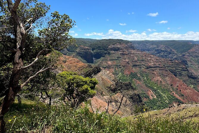 Private Kauai Island Tour : Waimea Canyon, Kalalau Lookout + More - A Closer Look at the Itinerary