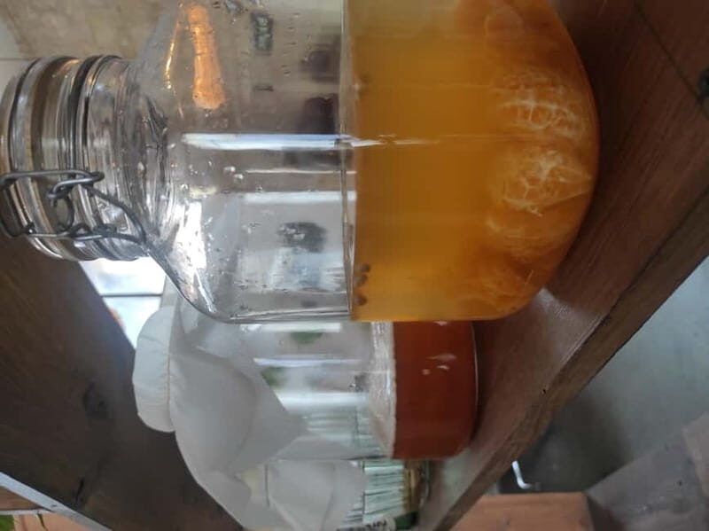 Private Kombucha Making Workshop in Cyprus