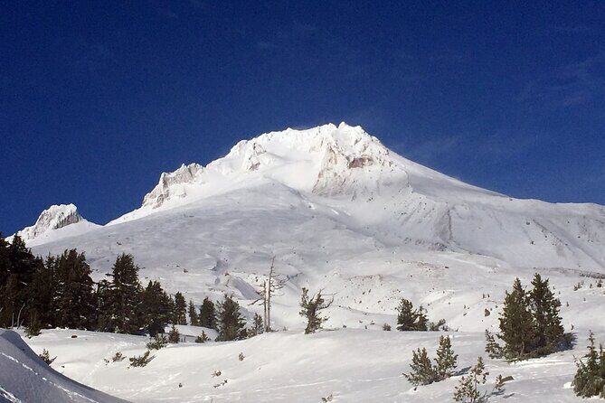 Private Mt Hood Waterfall Tour with Lunch and Wine included - The Taste of Oregon: Lunch and Wine