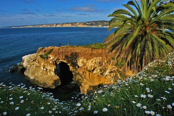 Private Shuttled Coastal Gems Scenic Customizable Tour - The Transport and Personal Touch