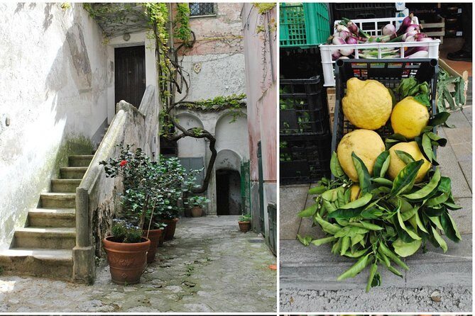Private Tour: The Path of the Lemons - Analyzing Value & Cost
