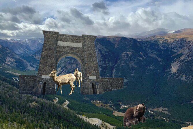 Private Yellowstone Wildlife and Photo Tours West Yellowstone - Who Should Consider This Tour?