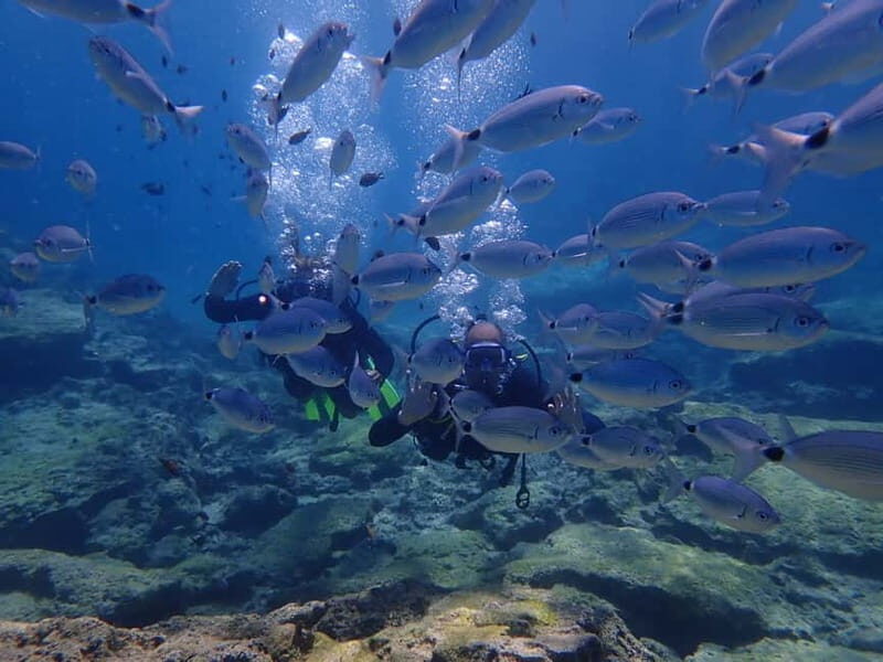 Protaras: Cape Grecko Single Dive for Qualified Divers