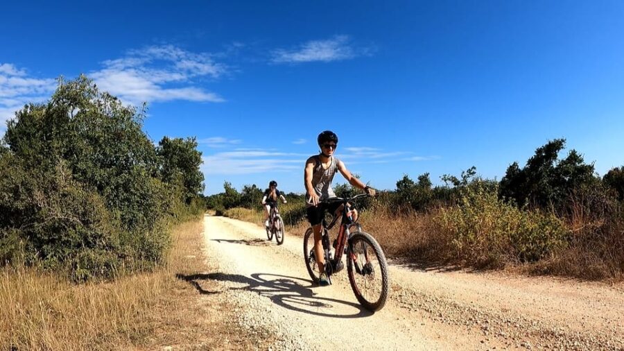 Pula-Vodnjan-Rovinj: E-Bike Tour with wine tasting