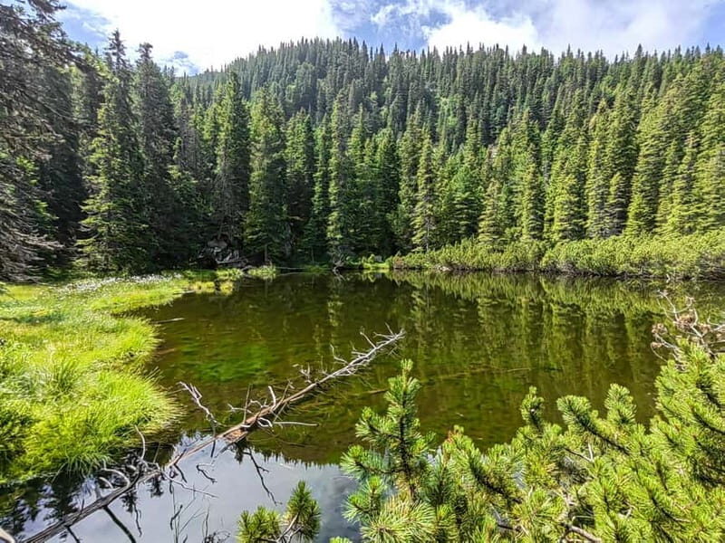 Retezat National Park: Full day hike from Cluj Napoca