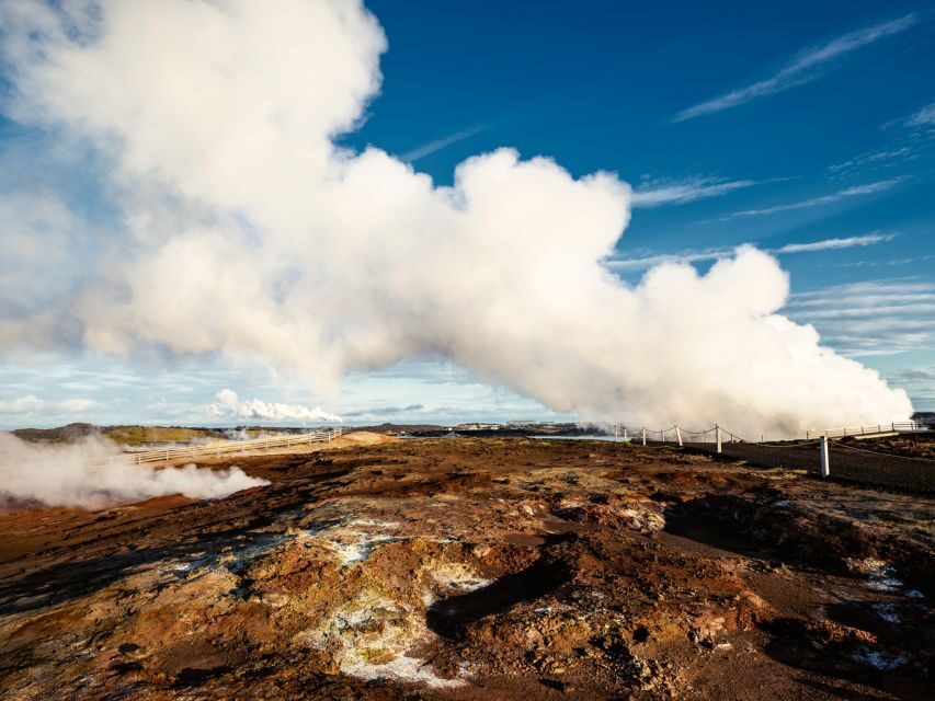 Reykjanes Peninsula : Private Guided Day Tour
