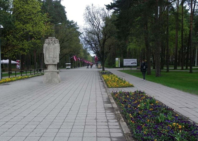 Riga: Green Spaces Bike Tour with Mezaparks and Old Town