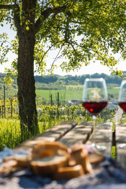 Romantic Road Ticket Würzburg - Rothenburg with Wine Tasting