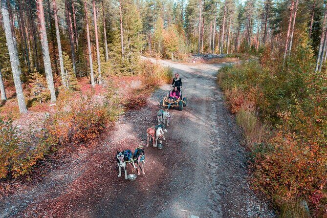 Rovaniemi Autumn Husky Safari & BBQ  610 km SelfDrive