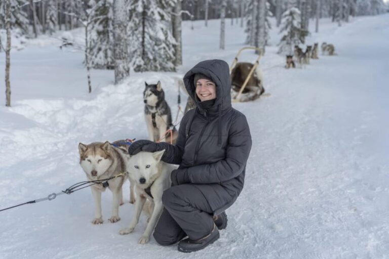 Rovaniemi: Snowmobile Safari, Reindeer & Husky Sleigh Ride - Who Will Love This Tour?