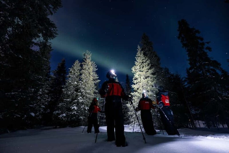 Ruka: Northern Light Hunt by Minivan