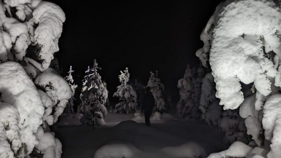 Saariselkä: Snowshoeing Tour in Urho Kekkonen National Park