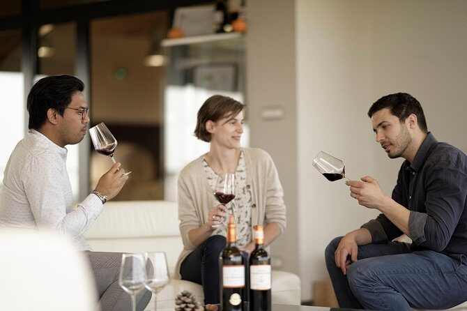 Saint-Emilion Grand Cru Classé: Visit & Tasting in English